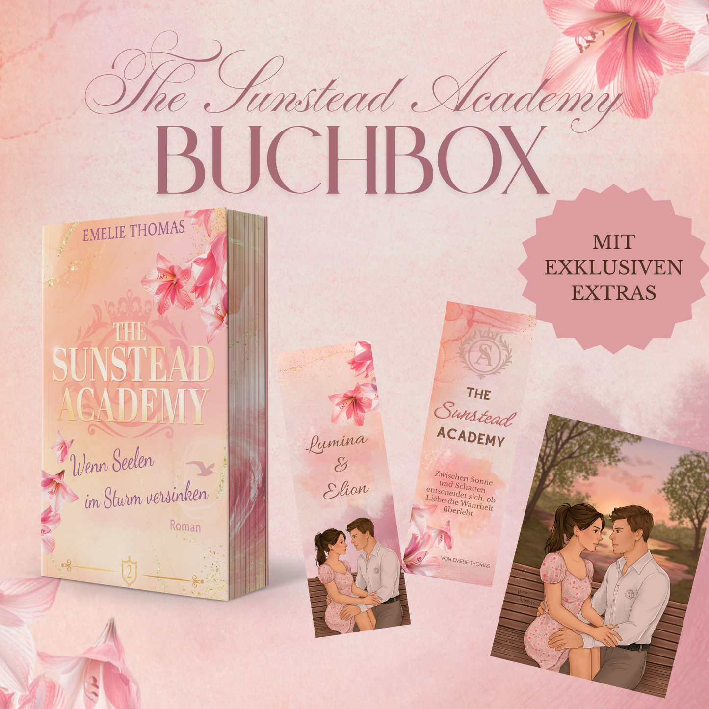 Exklusive Buchbox - The Sunstead Academy Band 2 – Emelie Thomas ...